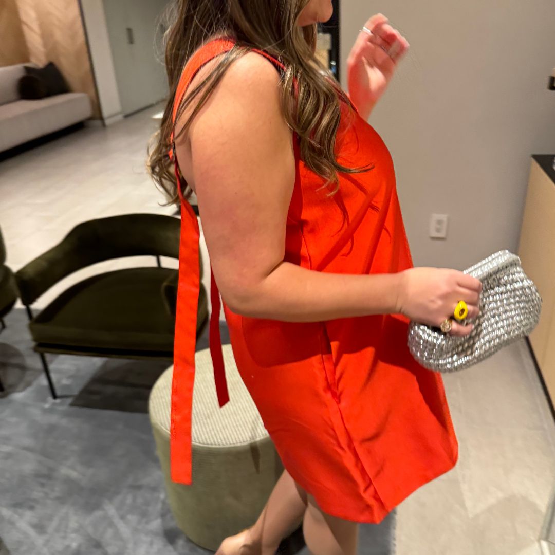 DIXIE SMALL SILVER | NAHALL